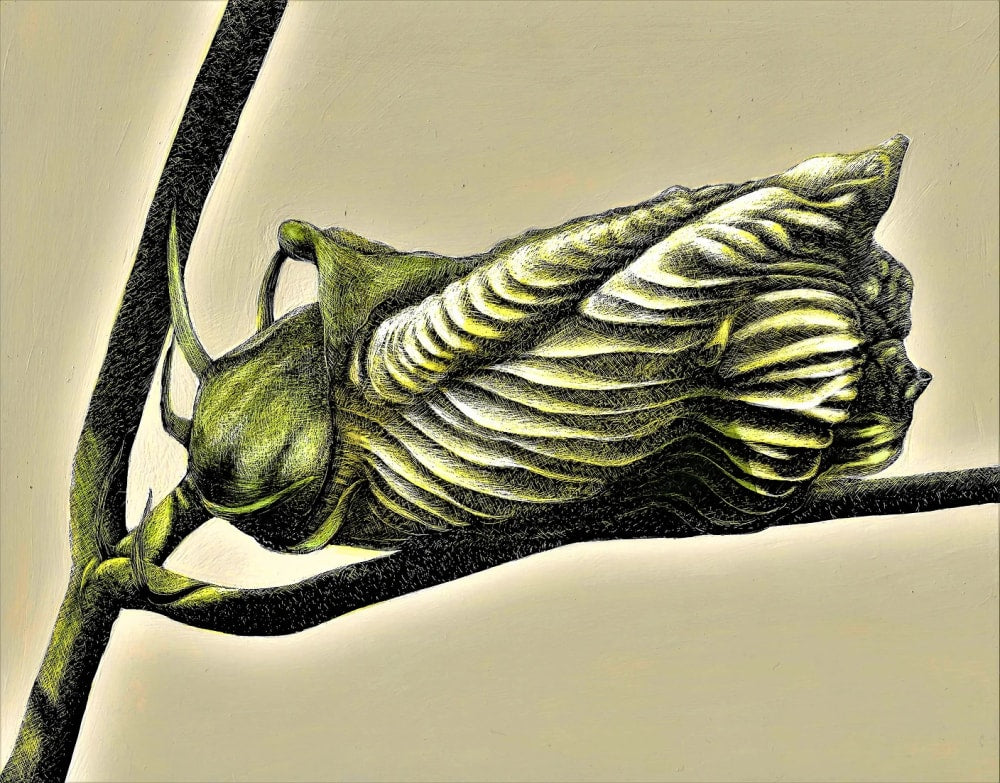 Okra Blossom by Frank Goff – Art Ventures NWA