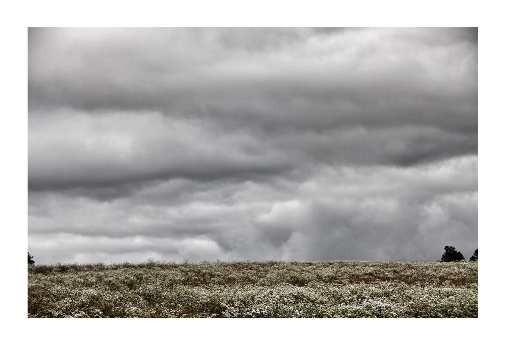 Grey Day by Heather Chilson – Art Ventures NWA